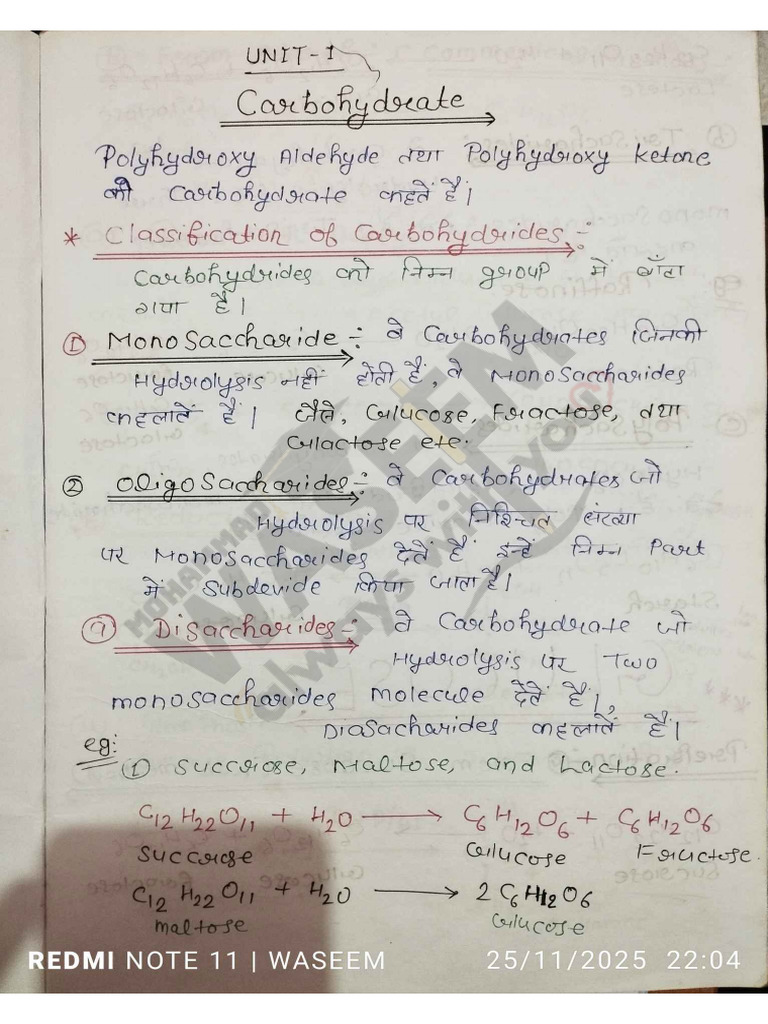 BSC Carbohydrates Notes of Mohammad Waseem | PDF