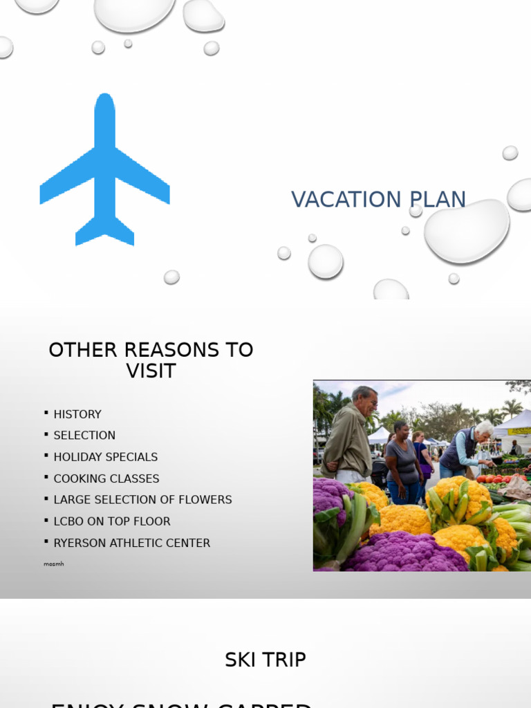 Ultimate Vacation Planning Guide | PDF