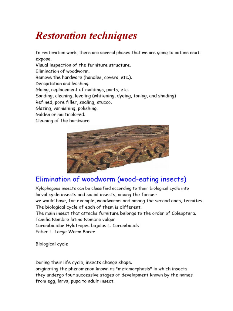 Essential Furniture Restoration Techniques | PDF | Varnish | Paint