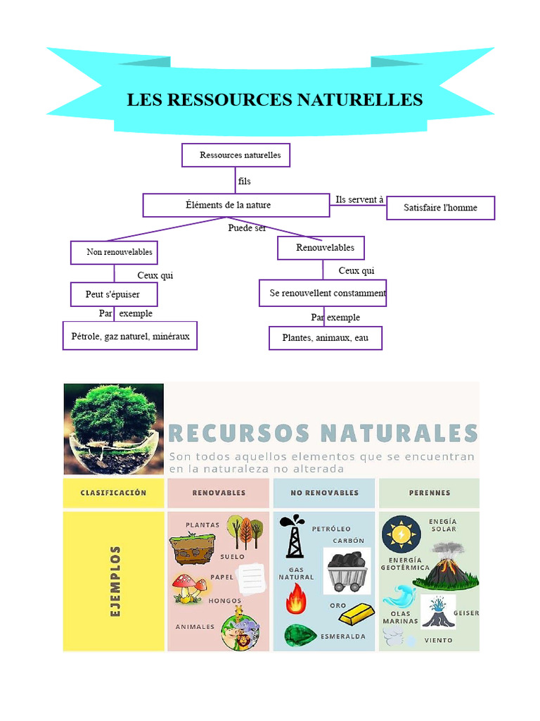 Types de ressources naturelles expliqués | PDF