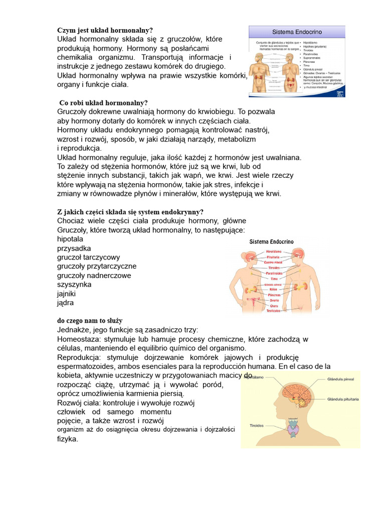Układ Hormonalny | PDF