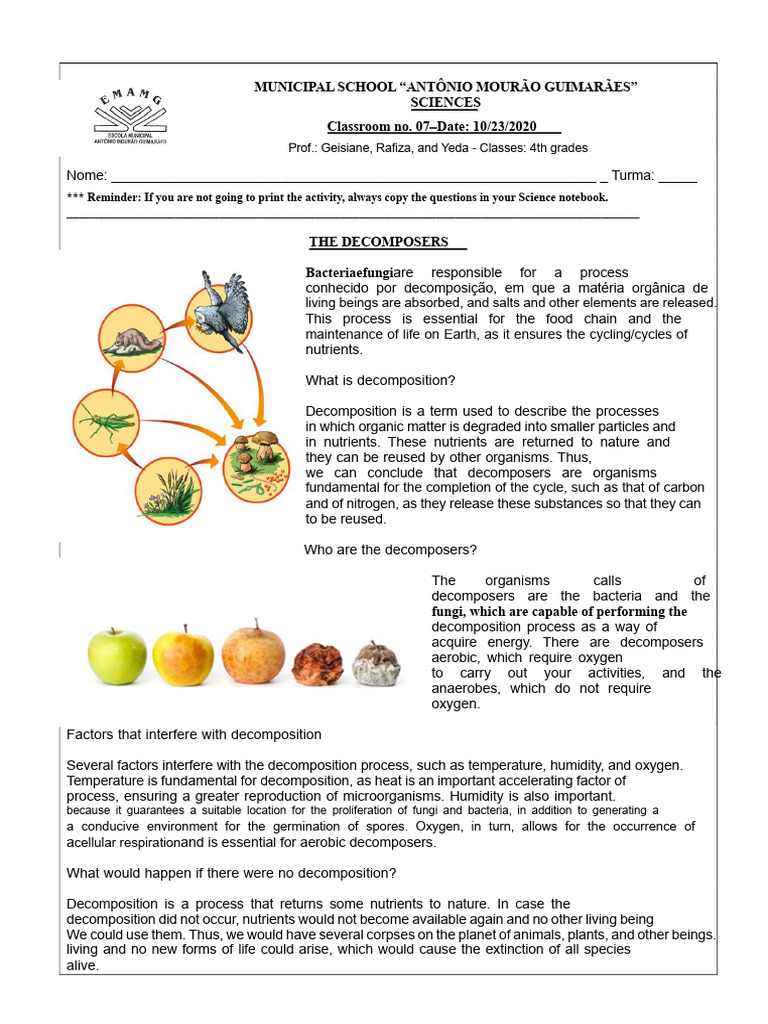 Science Activity | PDF | Decomposition | Biodegradation