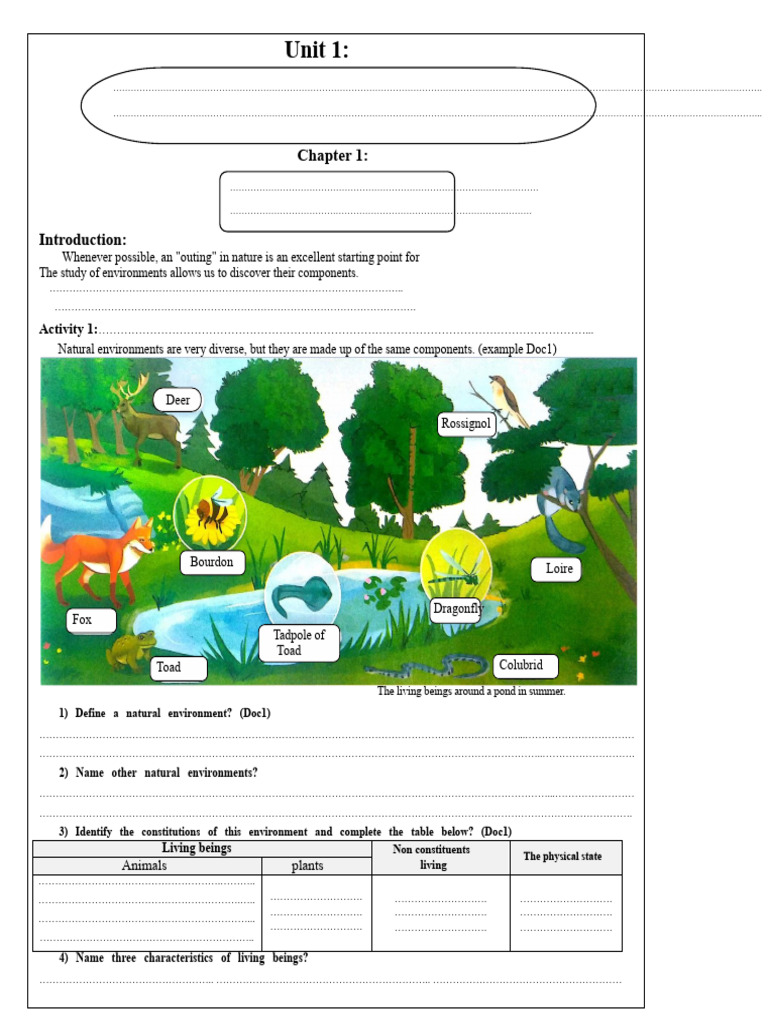 Discovery of A Natural Environment Course 2 Word | PDF