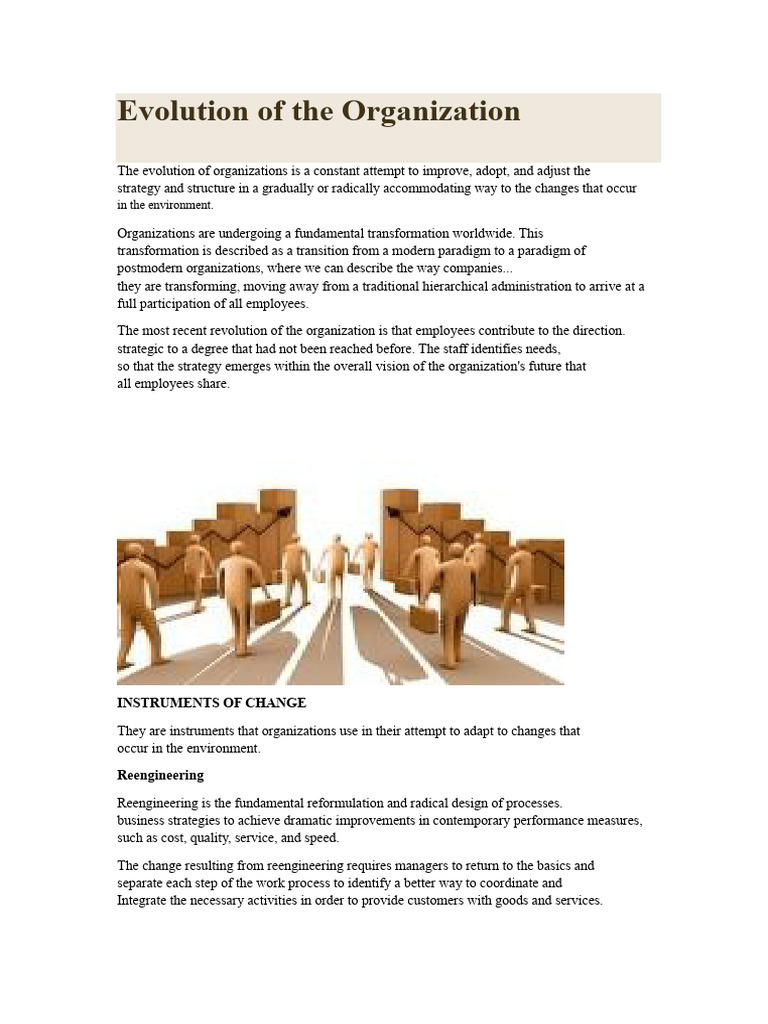 Evolution of The Organization | PDF | Market (Economics) | Foreign ...