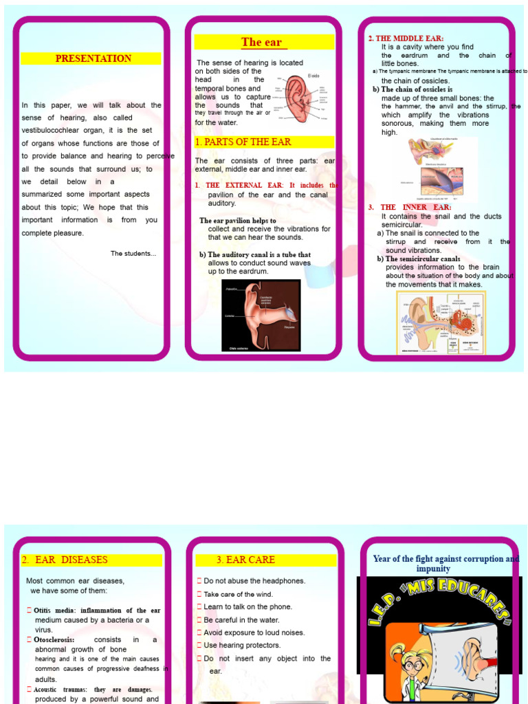 Triptych of the Ear | PDF | Ear | Hearing