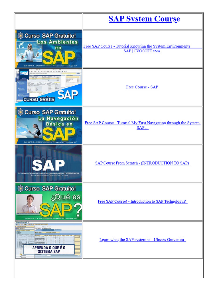 SAP System Course | PDF