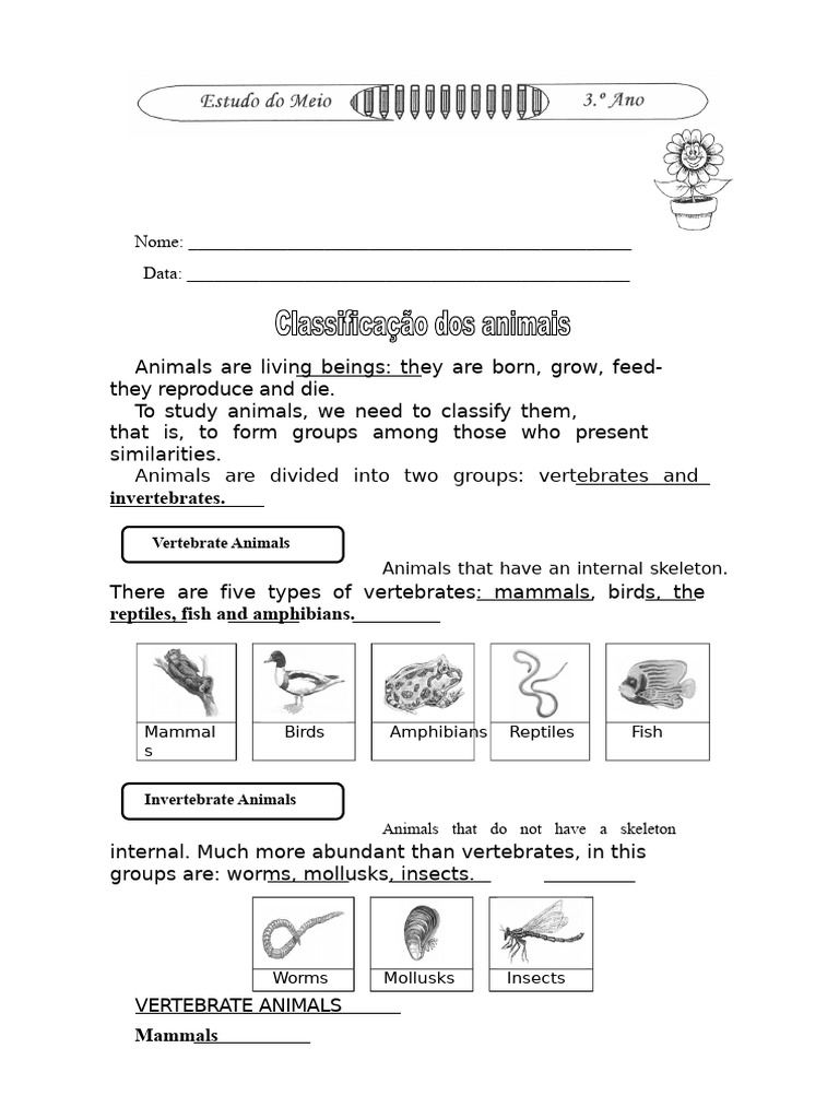 Animal Classification: Vertebrates vs. Invertebrates | PDF ...