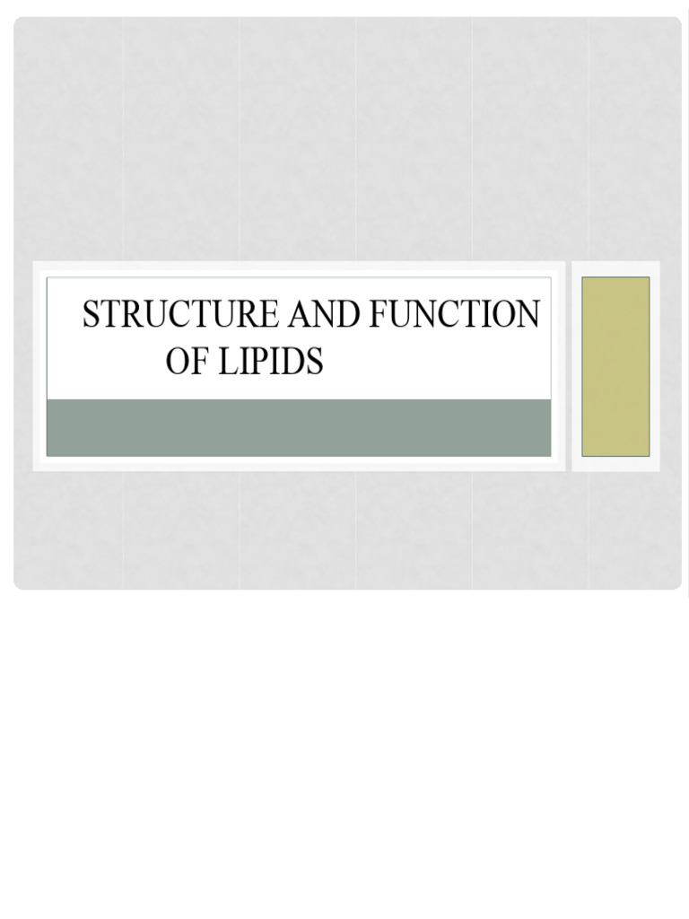 Structure and Function of Lipids | PDF | Lipid | Fatty Acid