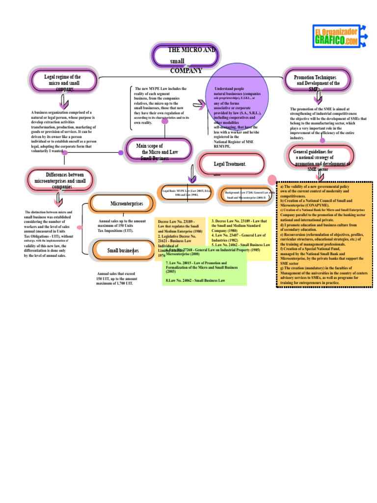 Visual Organizer Group 05 - THE MICRO AND SMALL BUSINESS | PDF ...