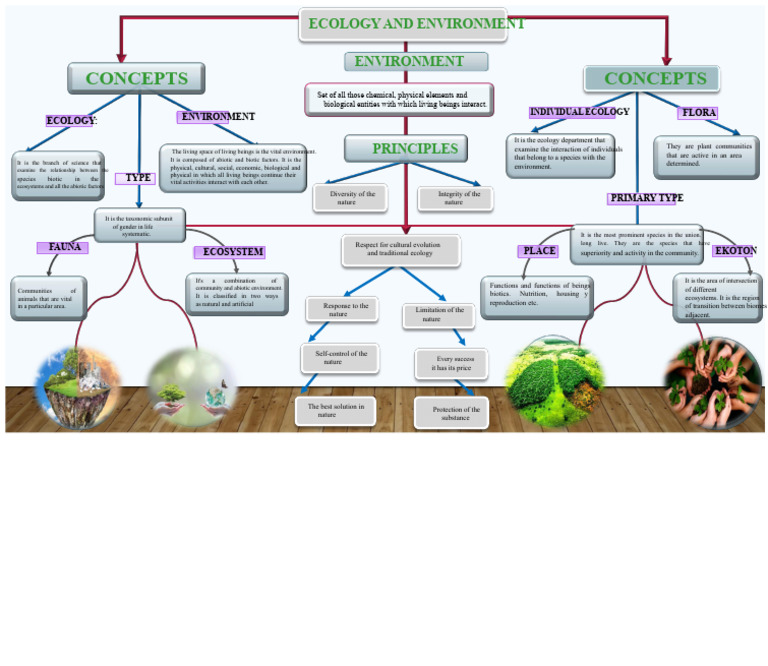 CONCEPTUAL MAP ECOLOGY AND ENVIRONMENT | PDF | Ecosystem | Ecology