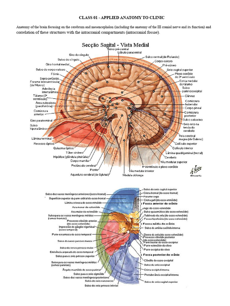 CLASS 01 - anf | PDF