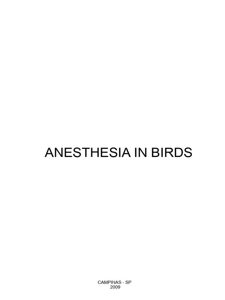 Anesthesia in Birds - Roberta Bottino Soffiatti | PDF | Midazolam | Opioid