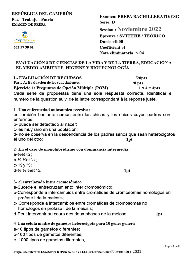 Prueba de Svteehb 3 Tled Prepa Examen 2022 2023 1 | PDF