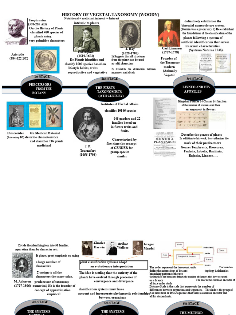 1 history of taxonomy (1) | PDF | Taxonomy (Biology) | Plants