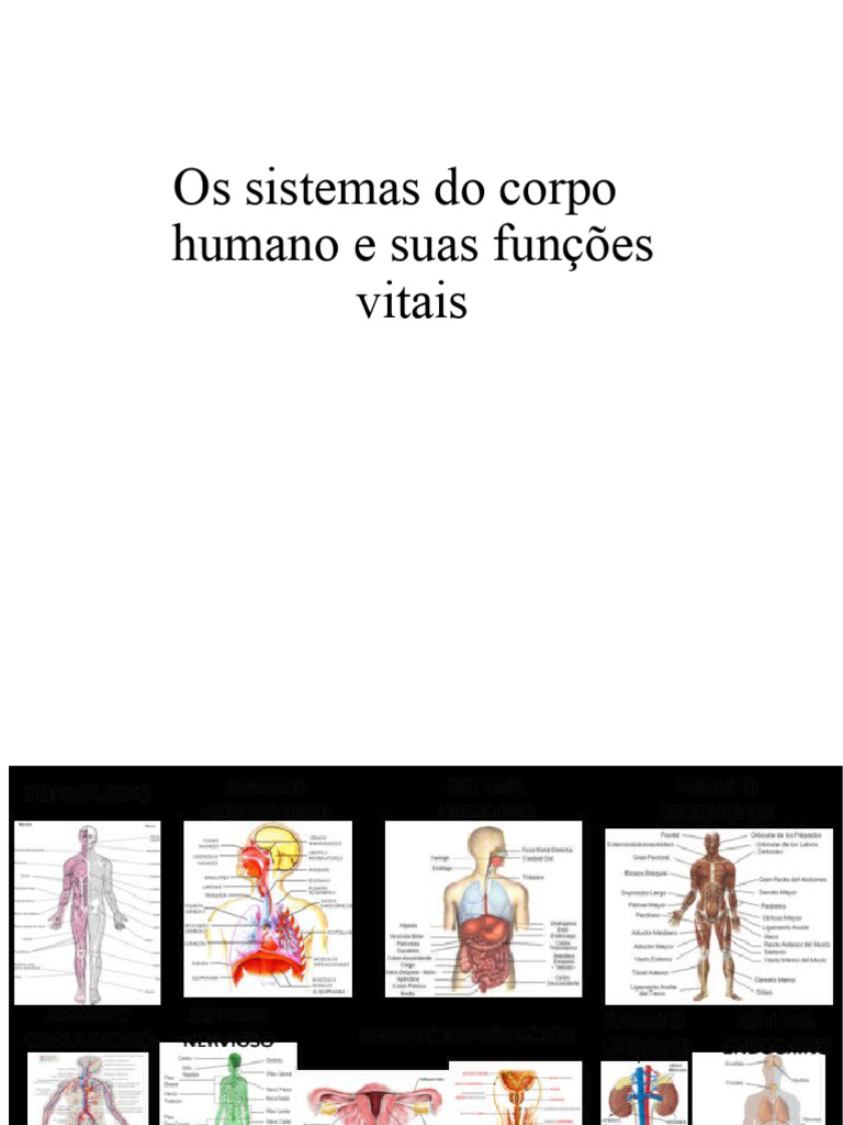 Os sistemas do corpo humano e suas funções | PDF | Corpo humano ...
