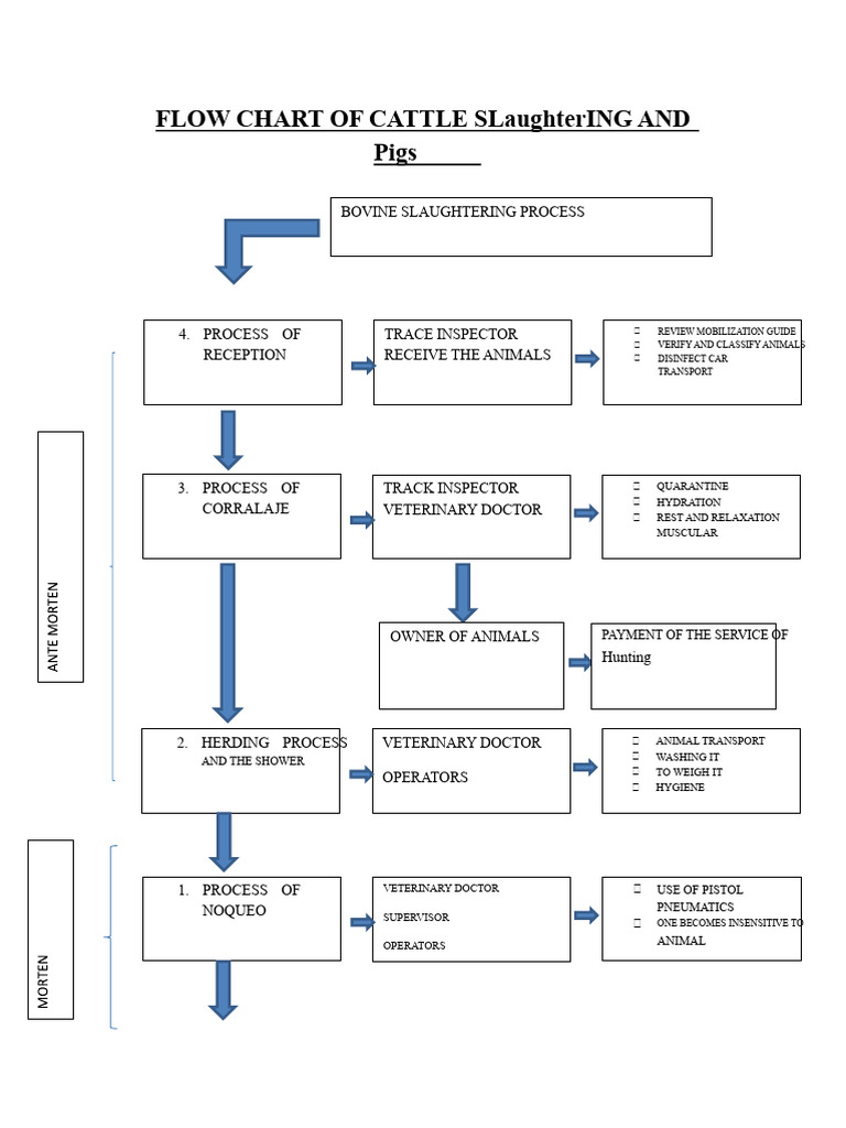 Flow Diagram of Cattle and Pig Slaughtering | PDF | Skin | Radio ...