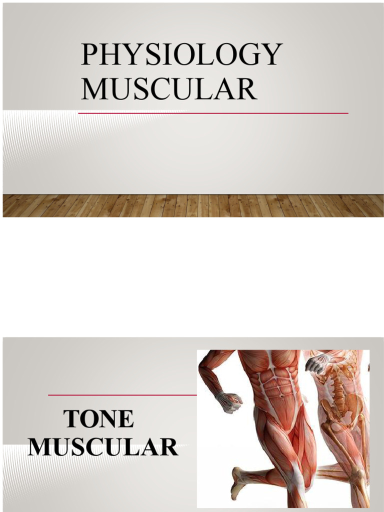 Physiology Muscle Tone | PDF | Skeletal Muscle | Muscle Contraction