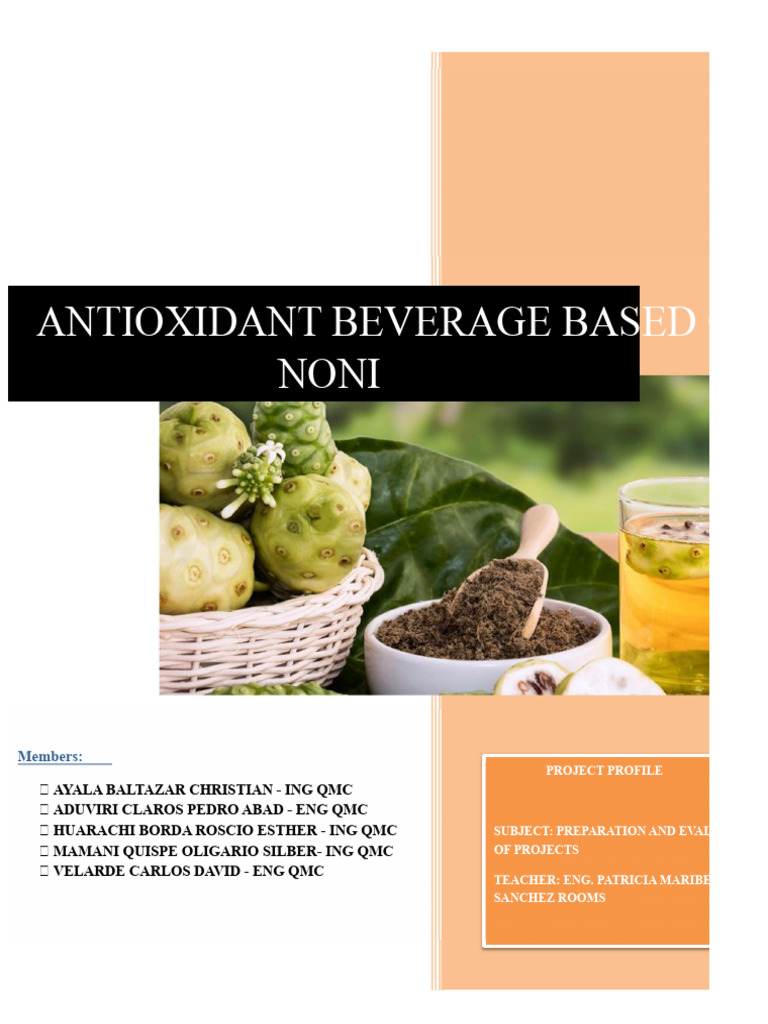 Project Profile Part 1 - Noni | PDF