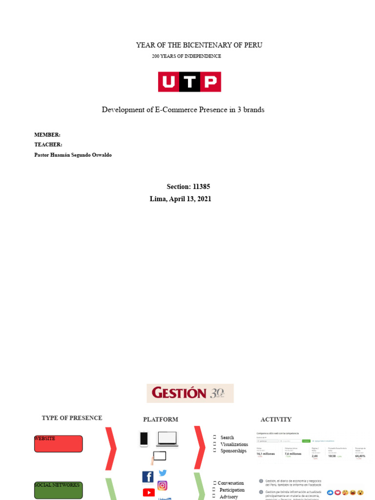 E-Commerce Presence Map - Example04 | PDF | E Commerce | Brand