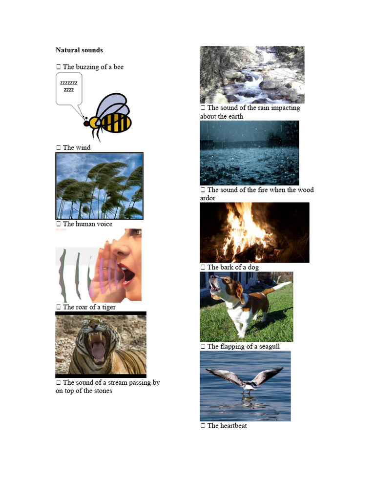 Natural and Artificial Sounds List | PDF