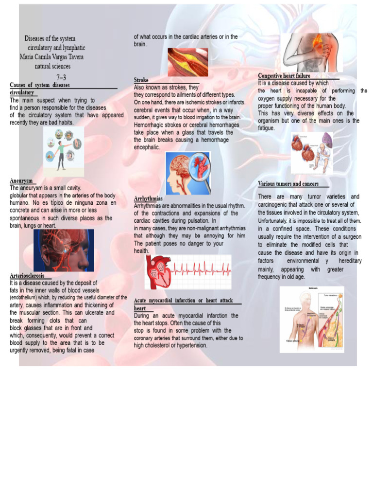 Diseases of The Circulatory and Lymphatic System | PDF | Lymphatic ...