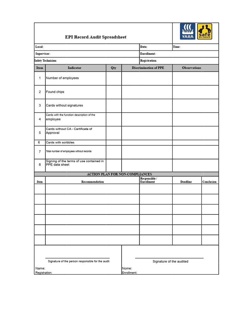 EPI Record Audit Checklist Spreadsheet | PDF