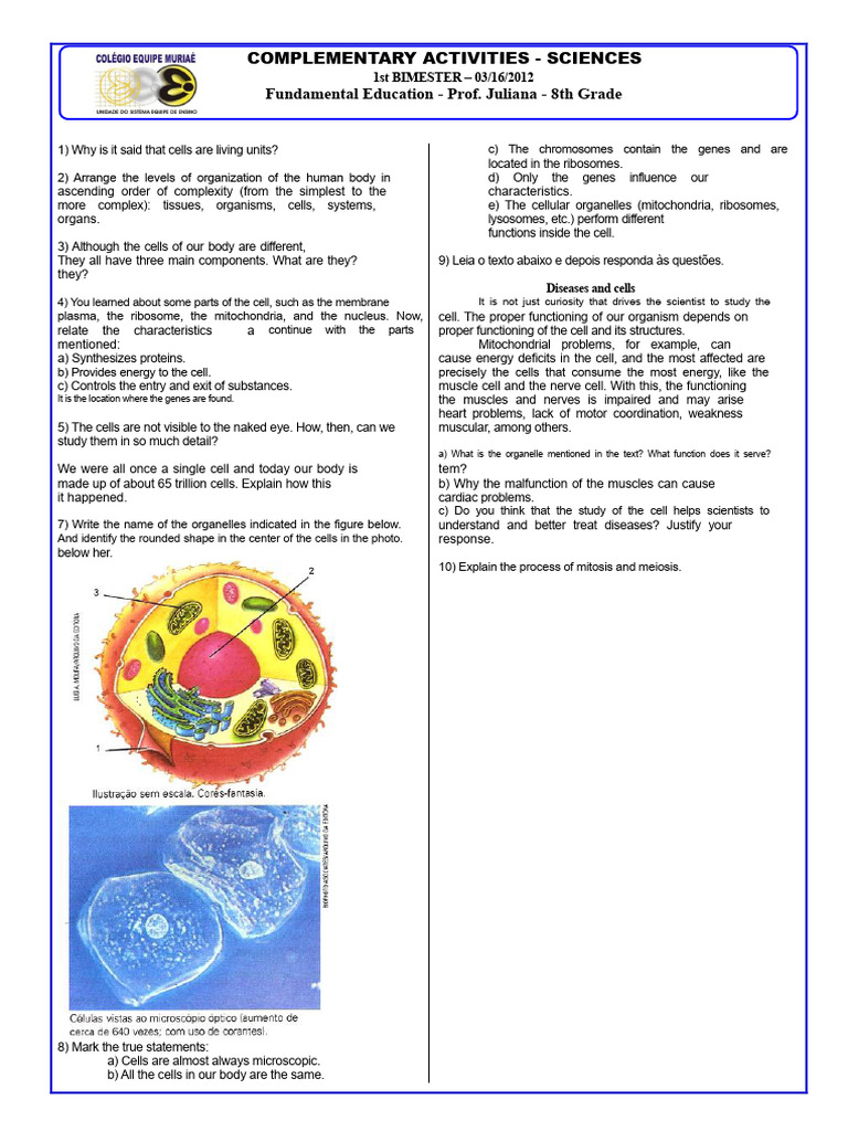 Science Exercises 8th Grade | PDF | Cell (Biology) | Mitochondrion