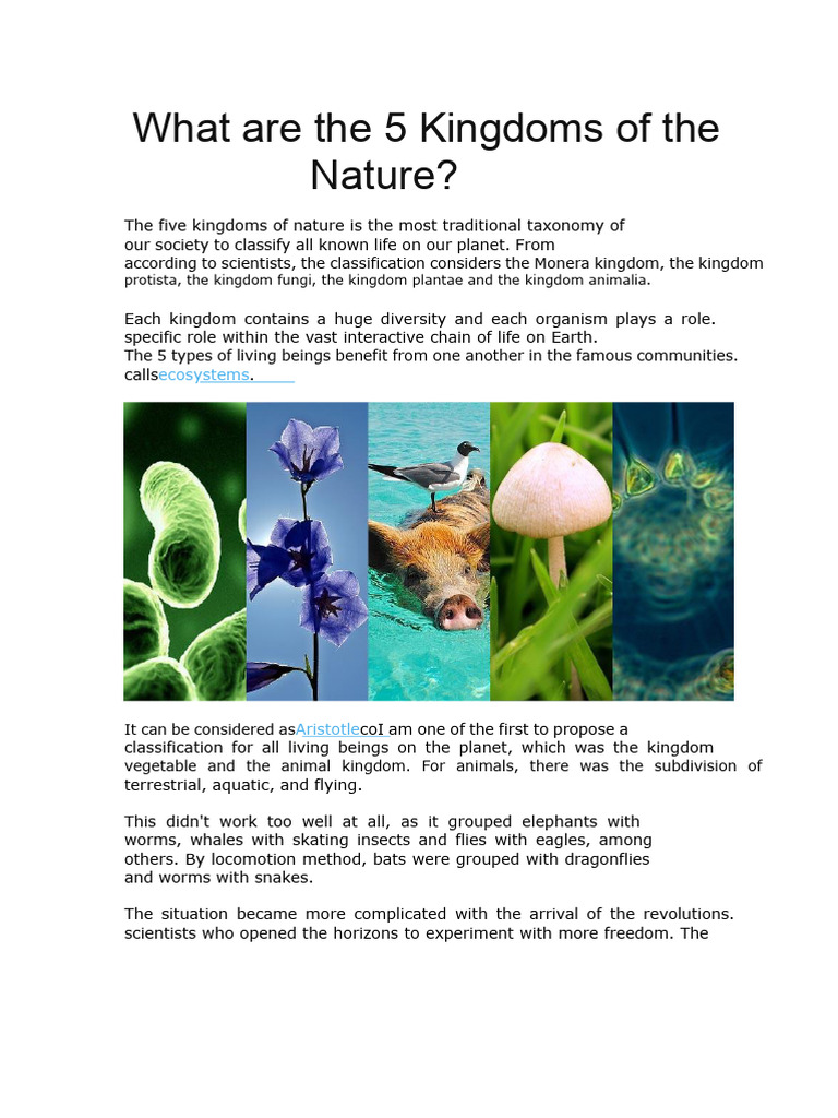 What Are the 5 Kingdoms of Nature | PDF | Fungus | Cell (Biology)
