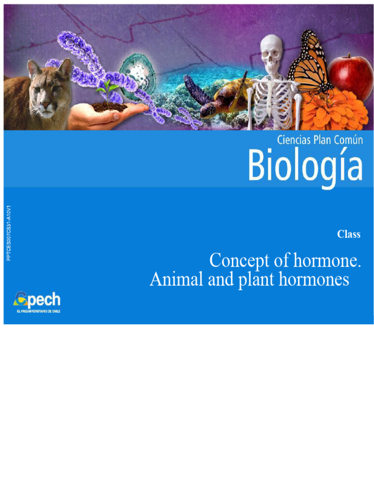 Class 11 Concept of Hormone. Animal and Plant Hormones | PDF | Hormone ...