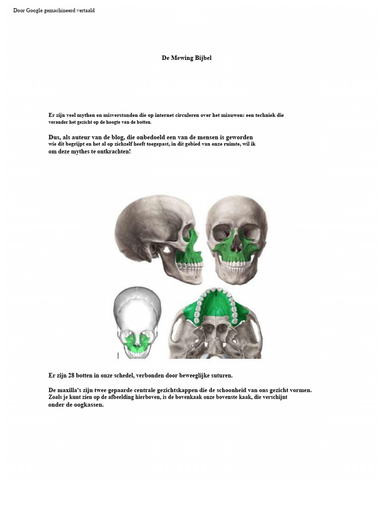 De bijbel van mewing | PDF