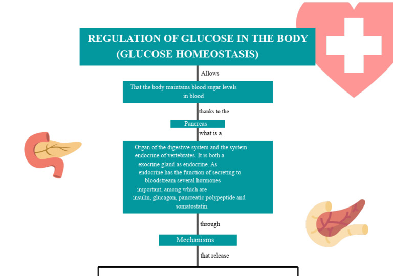 glucose mind map.pdf | PDF