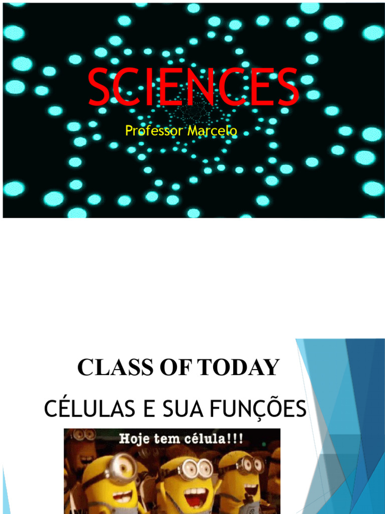 6th GRADE - CELLS AND THEIR FUNCTIONS | PDF | Cell (Biology) | Eukaryotes
