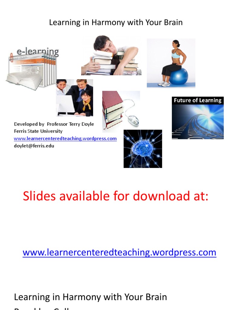 Brain-Based Learning Strategies | PDF | Memory | Sleep