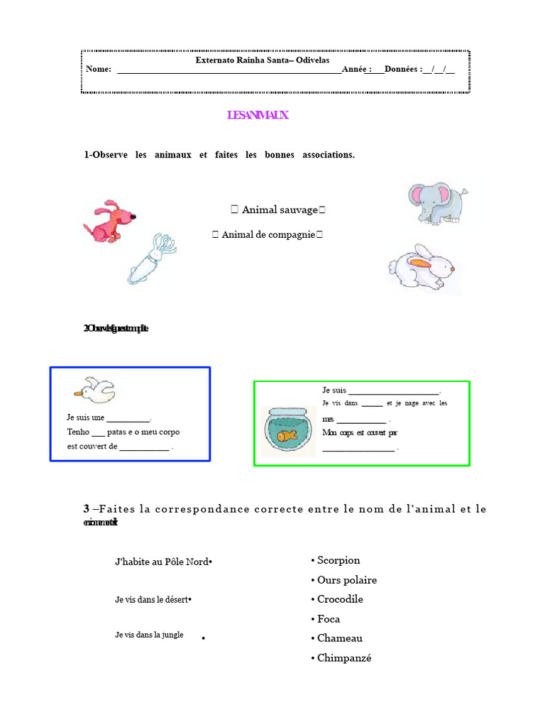 Activités éducatives sur les animaux | PDF | Organismes | Biologie