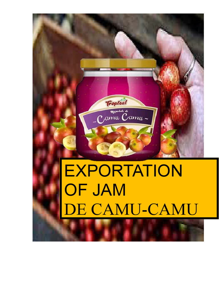 Export Plan for Camu Camu Jam to Florida | PDF | Marketing