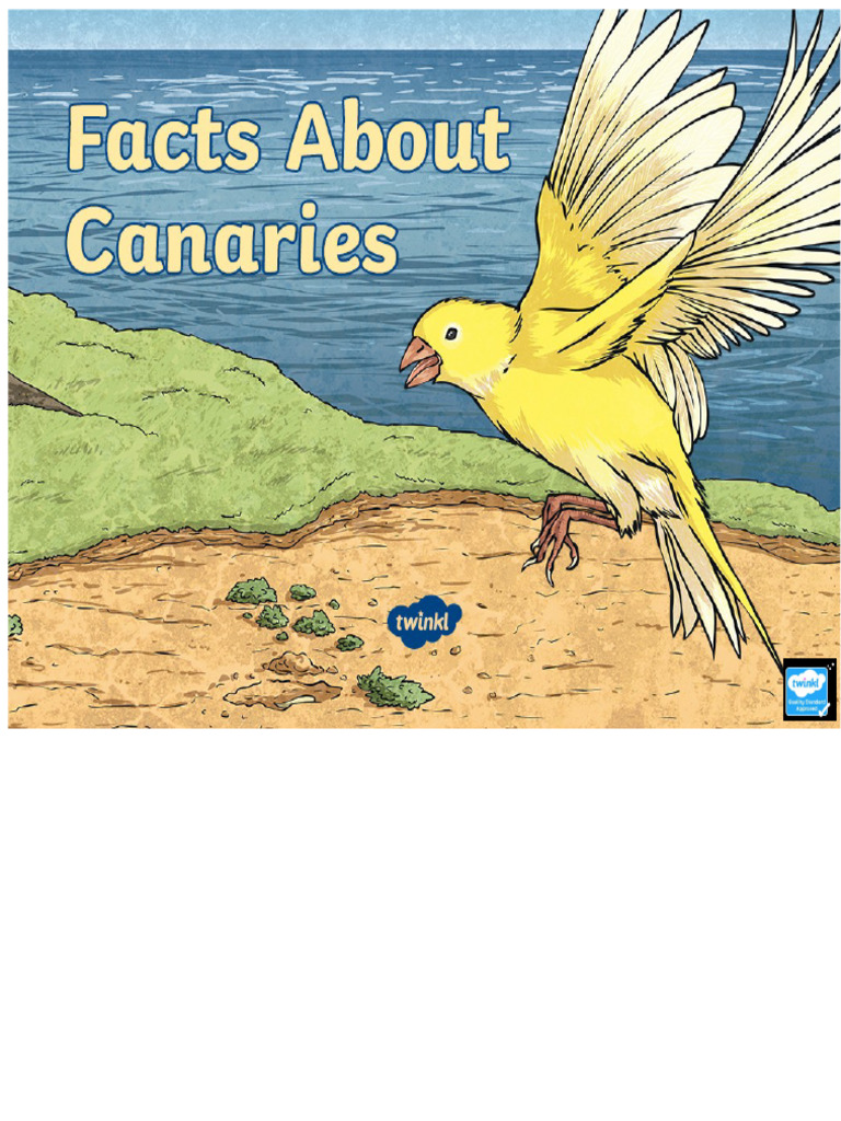 Guía completa sobre canarios como mascotas | PDF | Pollo | Aves