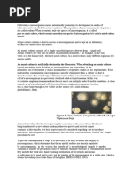 AOSA Seed Testing Procedures | PDF | Seed | Calibration