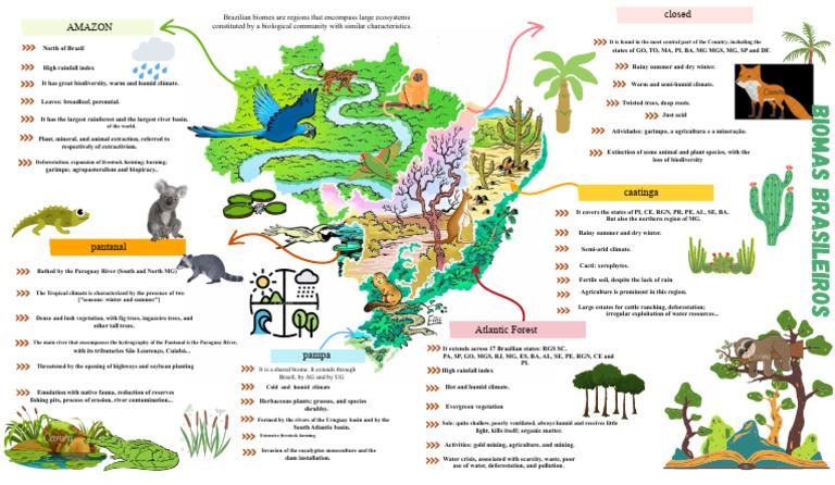MENTAL MAP - 4th BIMESTER GEOGRAPHY | PDF | Amazon Rainforest | Rainforest