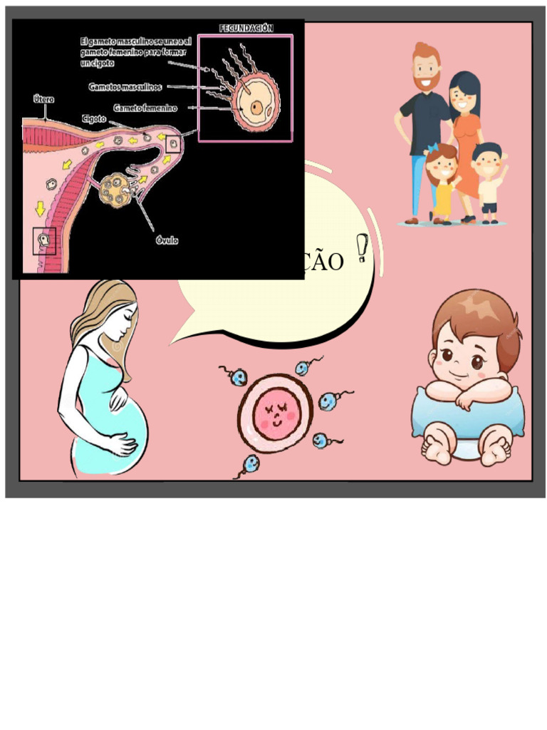 Quadrinho da Fecundação Humana (Biologia) | PDF | Fertilização | Ovo