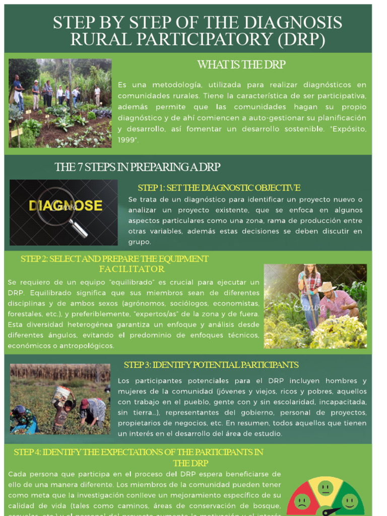 Step-by-step infographic rural diagnosis | PDF