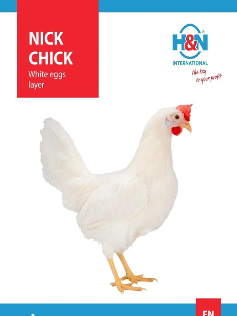 Nick Chick | PDF