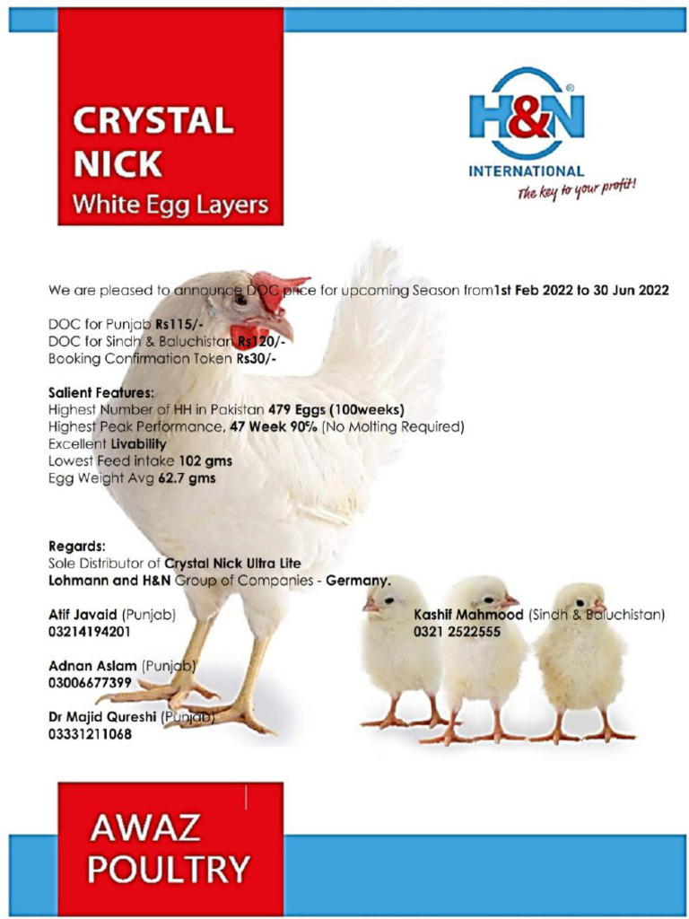 Nick Chick | PDF