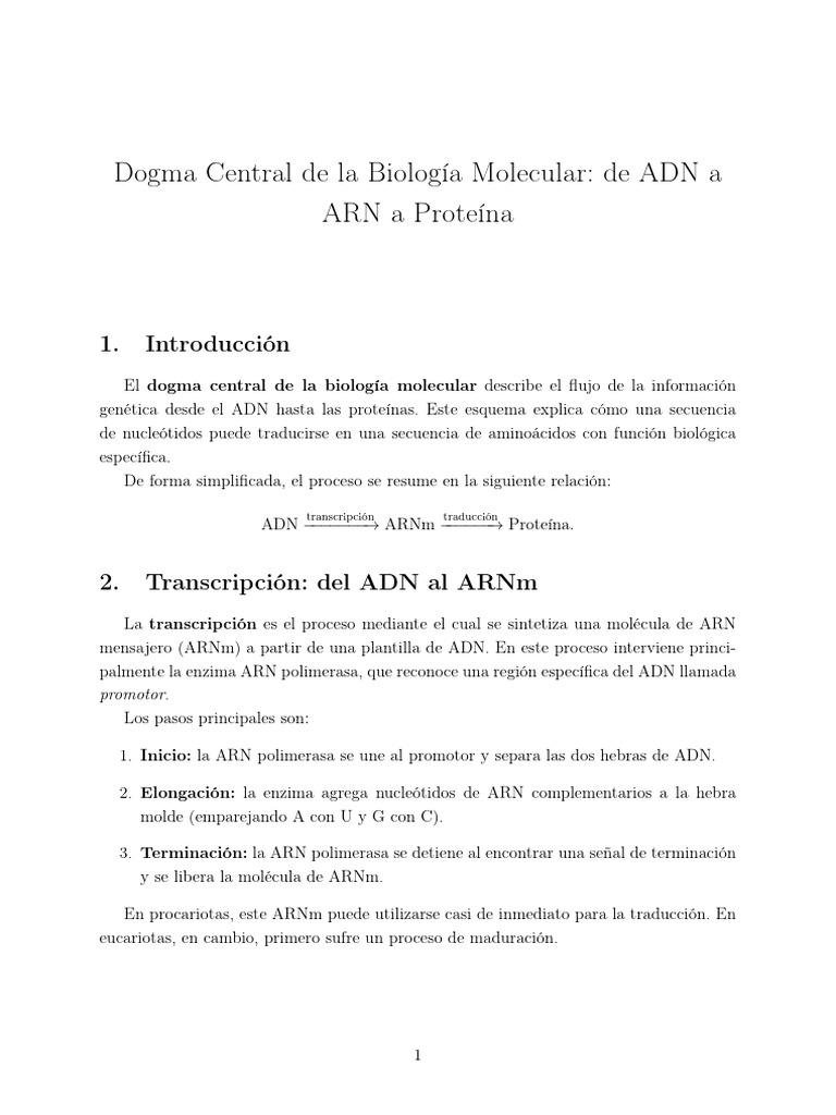 ARN A ARN A Proteína | PDF | Rna | Messenger Rna
