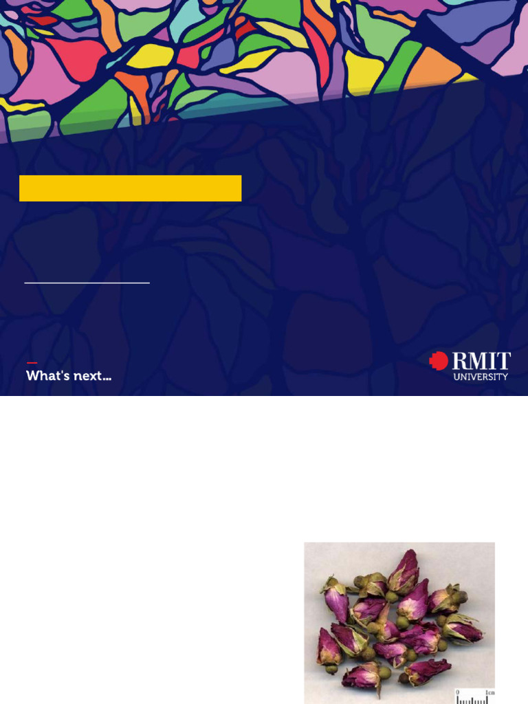 Week 1 Intro and Tutorial 1 COTH2119 2020 | PDF | Medicine | Health ...