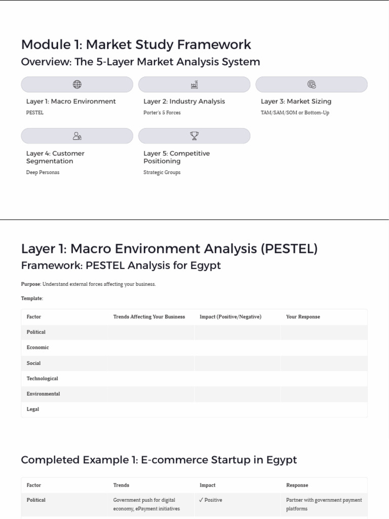 Market Study Framework Overview | PDF | Market Segmentation | E Commerce