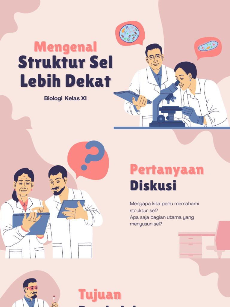 Belajar Mengenal Struktur Sel Presentasi Dalam Merah Muda Biru ...