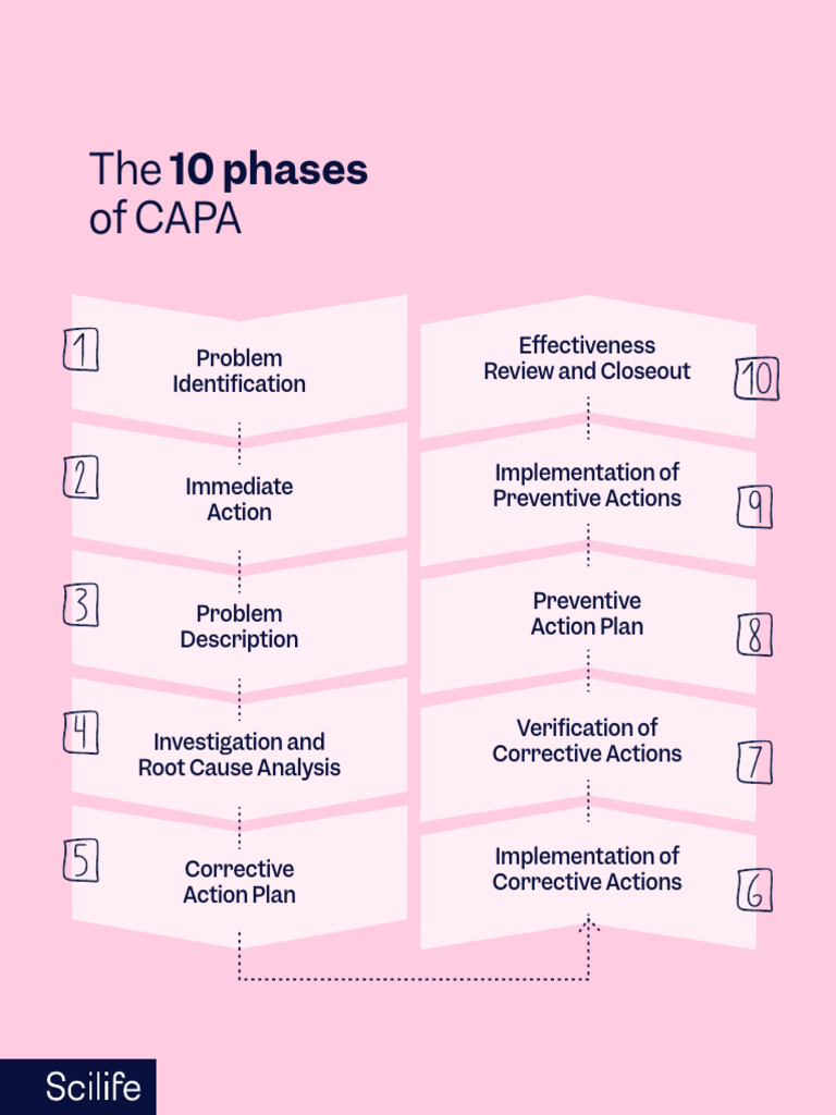 CAPA Corrective Action Preventive Action | PDF | Systems Thinking
