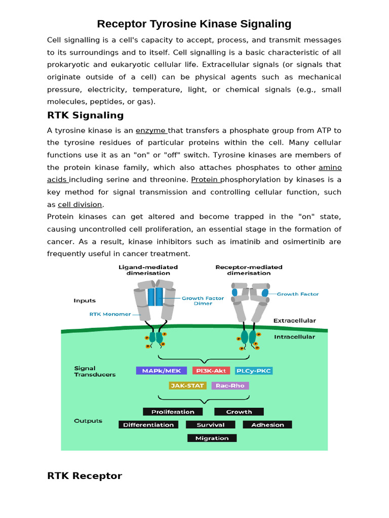 MPL_104T, UNIT-II,Receptor Tyrosine Kinase Signaling_Notes | PDF ...