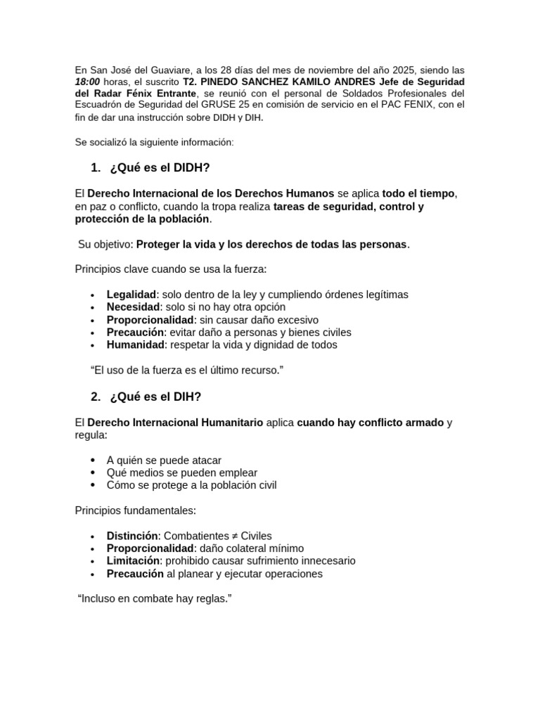 Acta instrucción DIDH y DIH | PDF | Ley humanitaria internacional ...