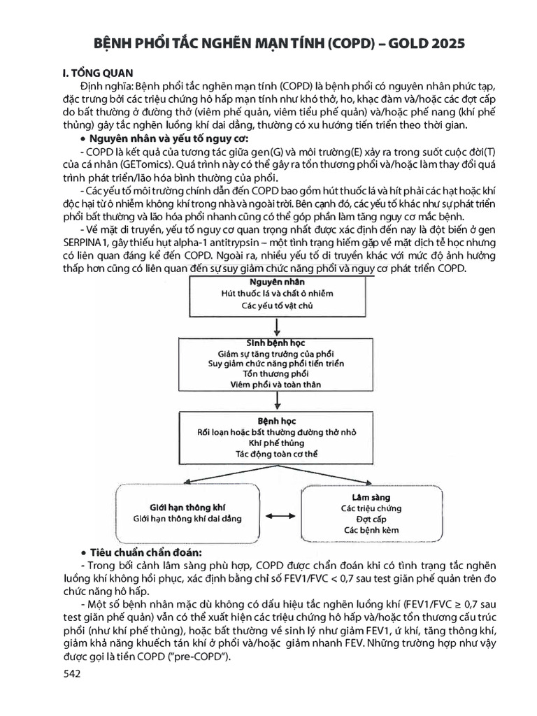 Copd Gold 2025 | PDF